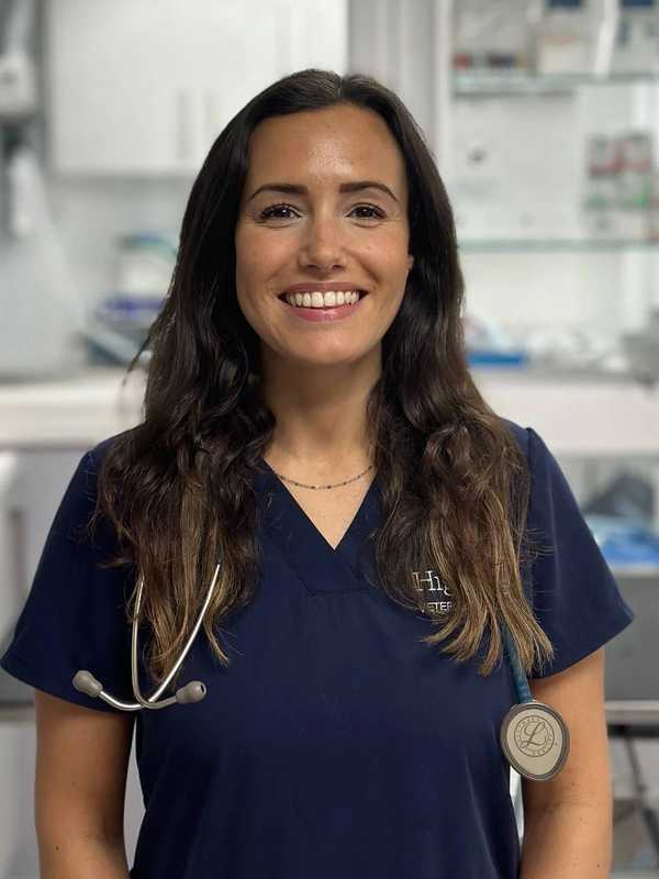 Meet Our Team - London Vets | Highgate Veterinary Clinic